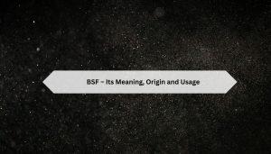 BSF – Its Meaning, Origin and Usage - curiositytop.com