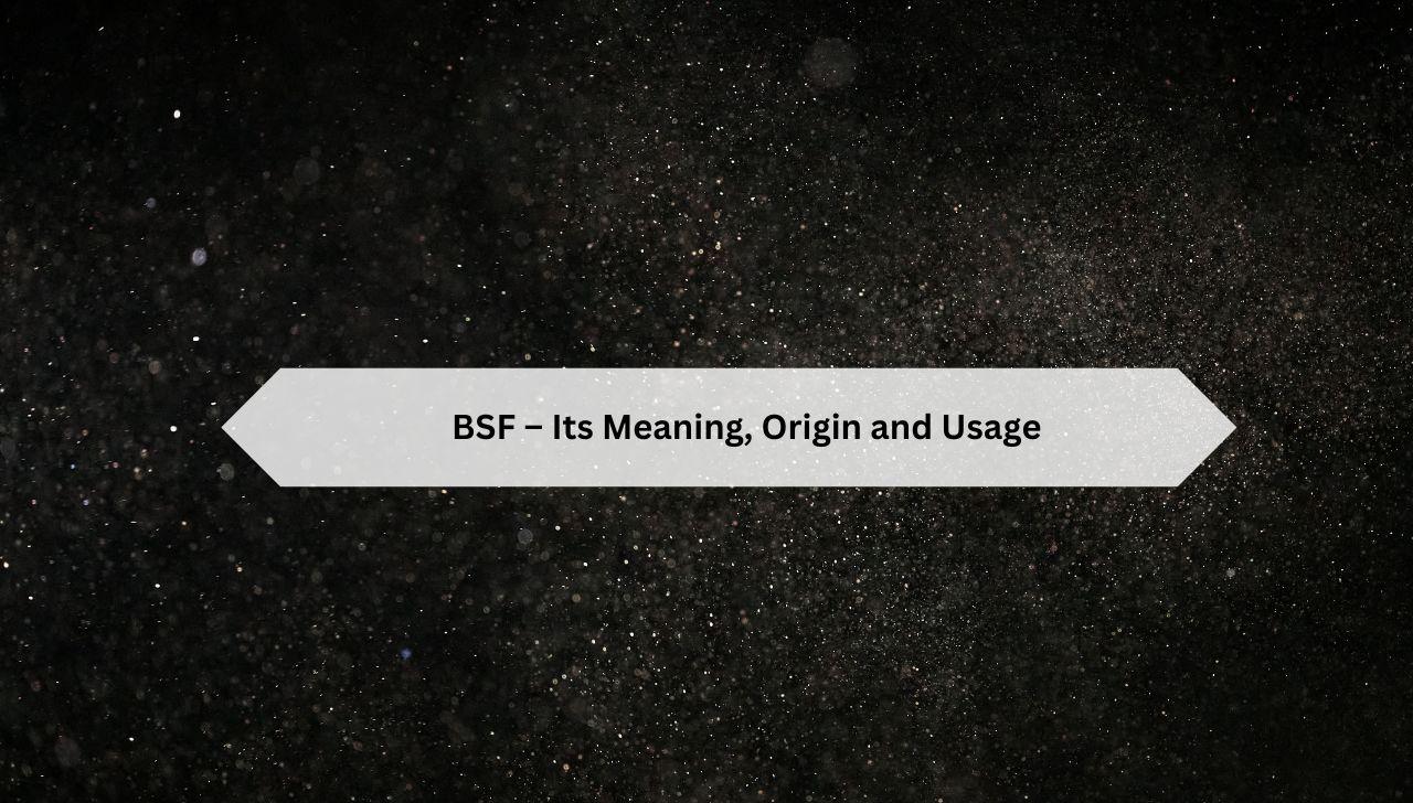 BSF – Its Meaning, Origin and Usage - curiositytop.com