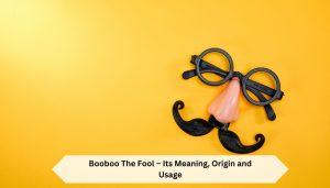 Booboo The Fool – Its Meaning, Origin and Usage - curiositytop.com