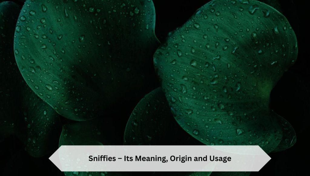 Heffer – Its Meaning, Origin, Examples and Usage - curiositytop.com